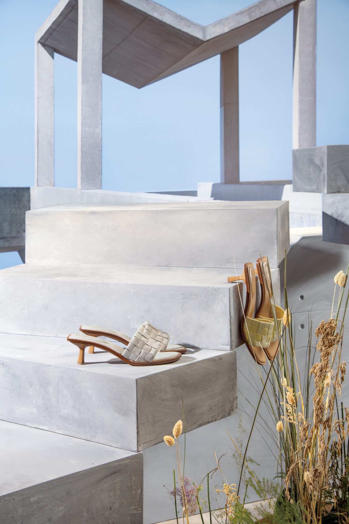 Pedro - Speed (Pvt.) Limited